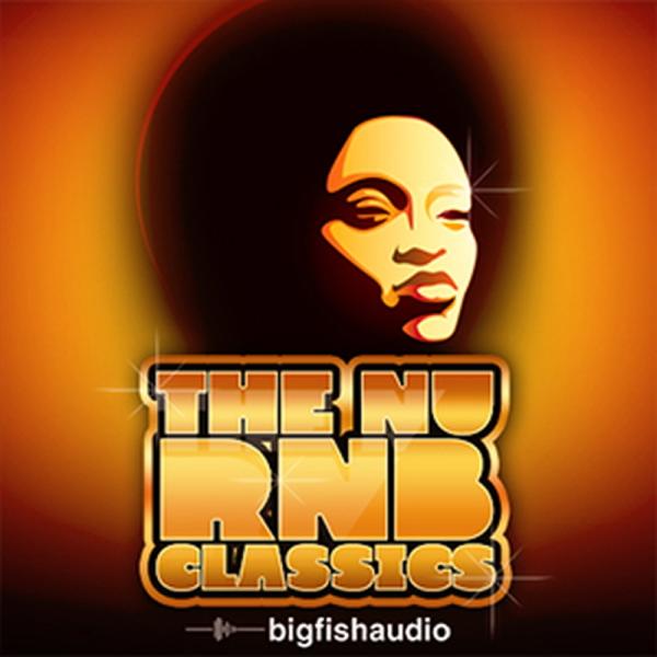 Big Fish Audio has set out to produce a product full of the next RnB Classics. This 2.12 GB library was specifically eng...