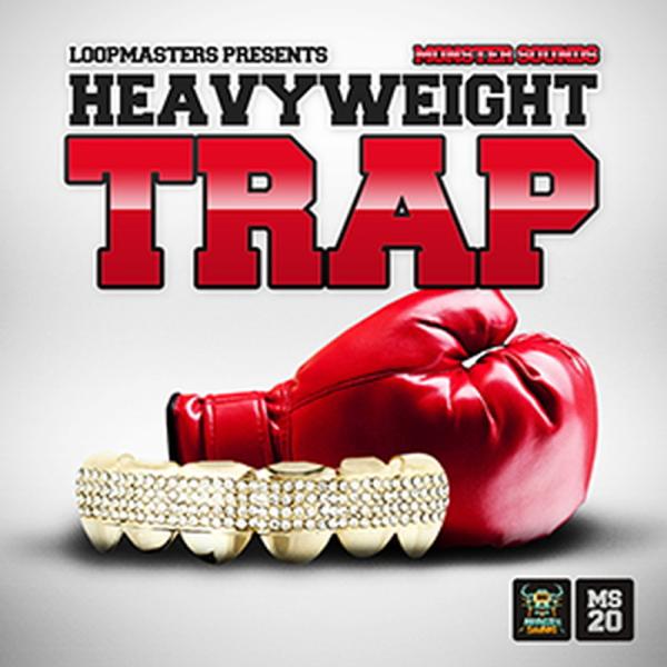 MONSTER SOUNDSのTRAPサウンドを大量収録したライブラリ！・重量級のベースや808系ドラムサウンドなどのトラップ素材を以下のカテゴリで収録【Loop素材】Bass， Drum， Synth【One Shot素材】Bass Hi...