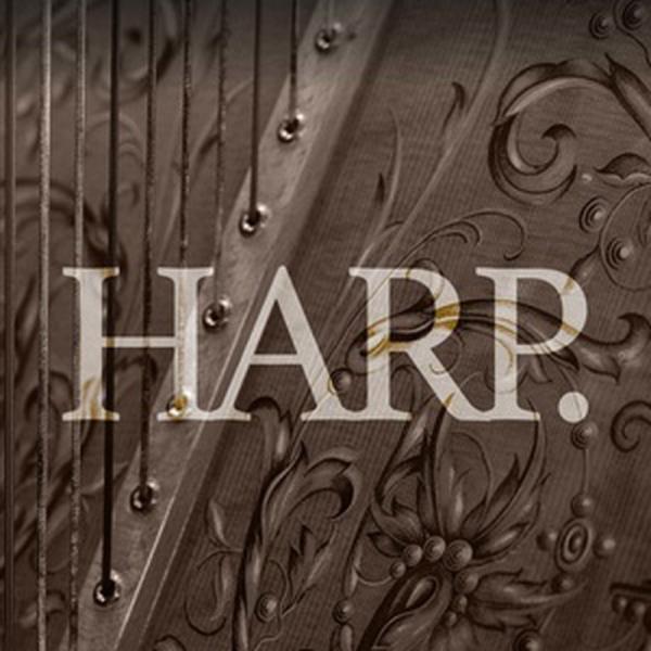 英国の超名門AIR STUDIOで収録されたハープ音源！『SPITFIRE HARP』は、英国ロンドンが誇るの超名門レコーディング・スタジオ「AIR STUDIO」で収録されたハープ音源です。ハイエンドなAD/DAコンバーターとヴィンテージ...