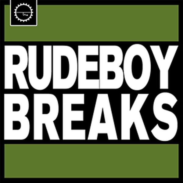 アップリフティングなドラムンベース用ドラム・フレーズ集・ニューヨークのテクノ・レーベルによるドラムンベース向けのドラム・ライブラリ。細かくプログラミングされた鮮度の高いサウンドのドラム・ループ＋ワンショットを収録。中でも連打につれてピッチが...