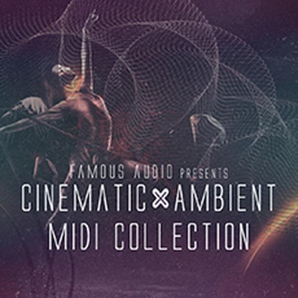 Atmospheric Chillの流れを汲んだアンビエント系MIDIファイル集・ベストセラーとなっている同社の『Atmospheric Chill』シリーズの流れを汲むチルアウト〜アンビエント系ライブラリー。メインとなるのは158種類のM...