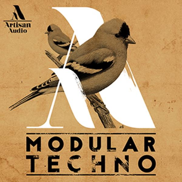 ARTISAN AUDIOのモジュラーシンセで作られたテクノ音源・モジュラーシンセを使って作られたテクノ系サウンド素材を、以下のカテゴリで収録【Loop素材】Chromatic Synth Loops， Dark Background Rh...