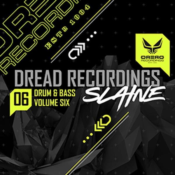 SLAINEによるDREAD RECORDINGSシリーズ第六弾READ RECORDINGSシリーズのSLAINEによるドラムンベース音源。薄い歪みがあるタイトなドラムと静かに広がるメロディアスなシンセの組み合わせでインテリジェンス系とイ...