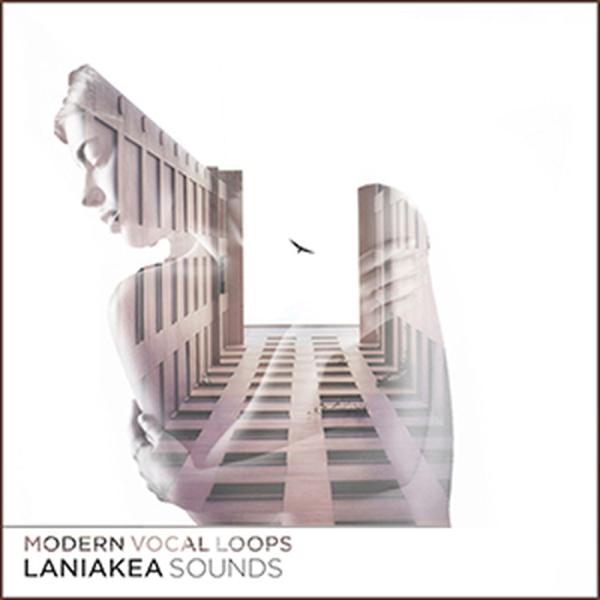 厳選されたボーカル素材を揃えたサンプルパックBPM88-150の間で制作された、厳選ボーカル素材を収めたサンプルパックです。40種類のボーカルループと、それに伴うドライバージョンのループを収録。フューチャーベースやハウス、トランス、ヒップホ...