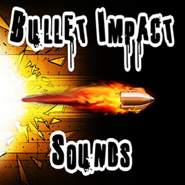 弾丸に関する効果音コレクション24bit／96KHz。153サウンドの弾丸に関するサウンドを収録（23の弾丸の通過、130の弾丸インパクト音）。弾丸インパクト音は16種類の異なる表面へのヒット音を含みます。本製品は『PRO SOUND CO...