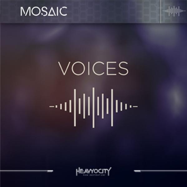 コンポーザーの創造性を掻き立てる、ボーカルにフィーチャーしたシネマティック音源。『MOSAIC VOICES』は、コンポーザーの創造性を掻き立てる「MOSAIC シリーズ」の第二弾となる、ハイブリッド・ボーカル音源です。約5.8GB（非圧縮...