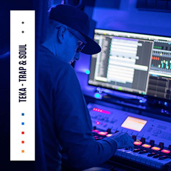 TEKAによって制作された、ディープで暖かみのあるサンプルパック- TEKAによって制作された、ディープで暖かみのあるサンプルパック- 5種類のコンストラクションキットから構成され、ドラム、シンセ、ピアノ、ストリングスなど、74種類のループ...