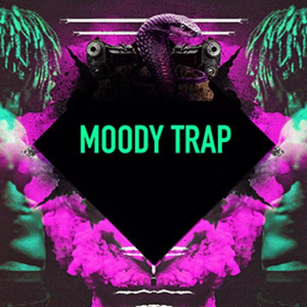 トップアーティストに影響を受けた、都会的なトラップ向け素材集都会的な哀愁/緊張感が特徴的なトラップ向けサンプルパック。ドラム、トップ、メロディなどのループ、ワンショット、MIDI、ソフトサンプラーパッチを合計約1.3GB収録。Post Ma...