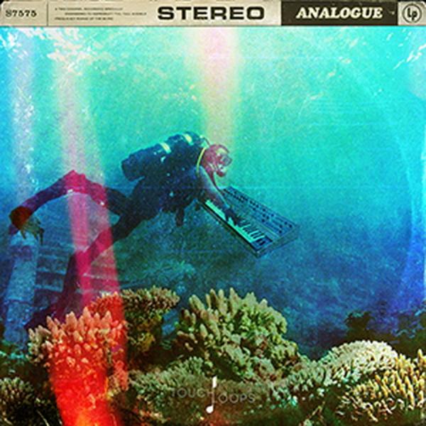 丁寧に作り込まれた音色のチルアウト系ライブラリープロデューサーのWilliam Haxworthが手がけたチルアウト系ライブラリー。ドラム／上モノともにサウンドは丁寧に作り込まれており、昨今のヴェイパーウェーブ等とは一線を画した、品のある仕...