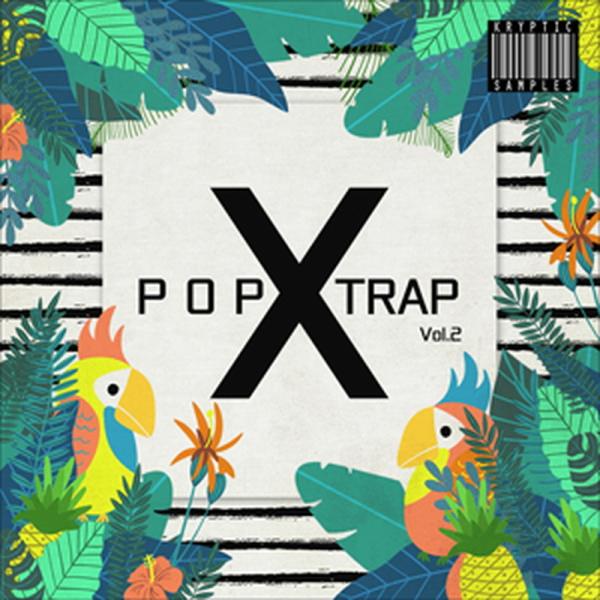 ポップミュージック/アーバン＆トラップが融合したユニークなサンプルパック『Pop X Trap Vol 2』は、ポップミュージックとアーバン＆トラップが融合したユニークなサンプルパックです。トラック制作に役立つ幅広い種類のサウンドが収録され...