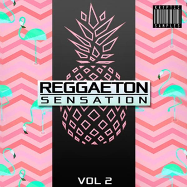 ラテンとカリブの雰囲気が融合したレゲトン向けのサンプルパック『Reggaeton Sensation Vol 2』は、ラテンとカリブの雰囲気が融合したレゲトン向けのサンプルパックです。リディム、メロディ、ギターループ、ドラムループとベースな...