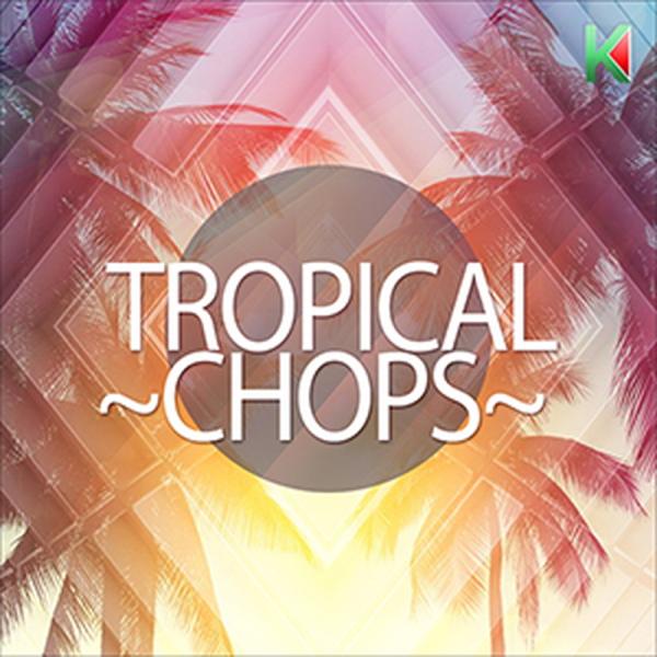 エモーショナルなメロディーが魅力的なトロピカルハウスのライブラリ『Tropical Chops』は、トロピカル・ハウス・ミュージックのコンストラクションキット集です。キャッチーでエモーショナルなメロディー、ピアノ、メロウなパッド、シンセサイ...
