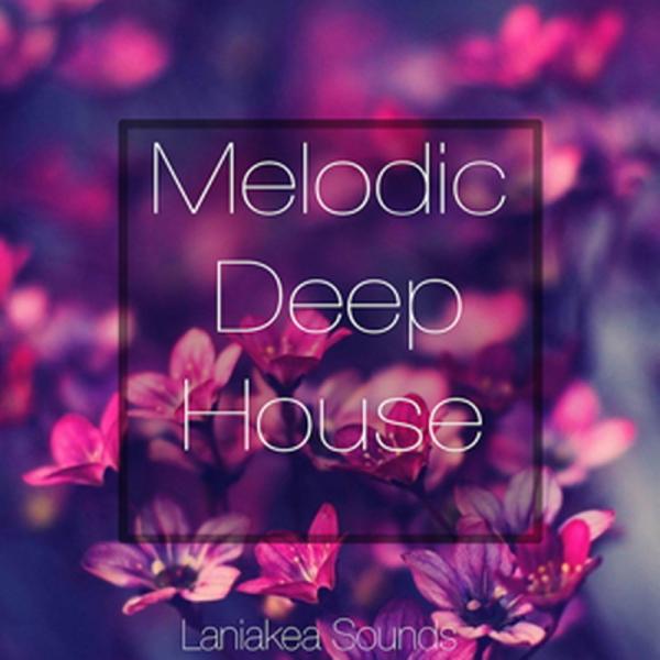 豊富なパッドや刺激的なメロディー収録！ディープハウスのライブラリ『Melodic Deep House』は、Andrew Bensonによって作成されたディープハウスのコンストラクションキット集です。EDX， Dusky， Bob Sinc...