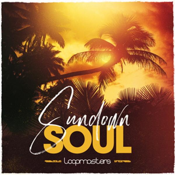 日没のビーチをイメージ！ラテンエッセンスの強いソウルのライブラリ『Sundown Soul』は、太陽が沈んだビーチでの長い夜をイメージした、ラテンスタイルを取り入れたソウルミュージックのサンプルパックです。アコースティックギター、パーカッシ...