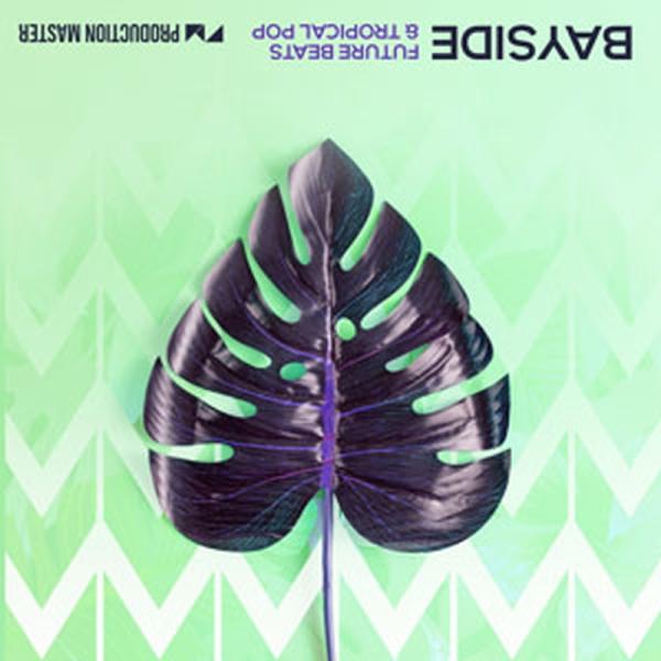 トロピカルテイストのメロディ素材を中心に収めたサンプルパックトロピカルテイストのメロディ素材を中心に収めたサンプルパック。ベイサイドをイメージした爽やかでノリの良いサウンドを中心に、ドラム、パーカッション、ベース、メロディ、ボーカル、FXな...