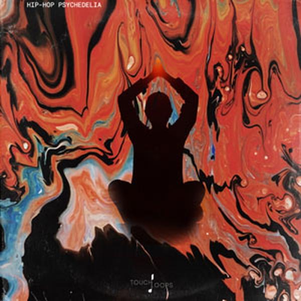 Flying Lotus／DJ ShadowにインスパイアされたサンプルパックFlying Lotus／Sun Raなどのアーティストにインスピレーションを受け制作されたサンプルパック。ローファイ、アンビエント、サイケデリックな要素を併せ持...