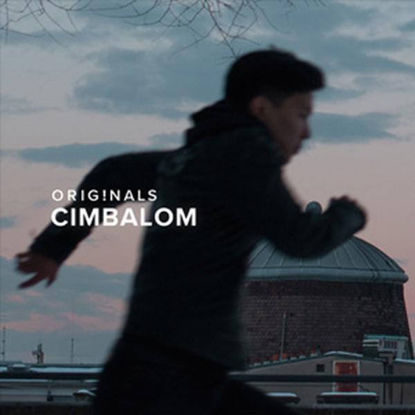 金属的な音色が特徴的なツィンバロムをLyndhurst Hallで収録した音源金属的な音色が特徴的な、ツィンバロム音源。ダルシマーやサントゥールと同系の楽器、ハンガリー ツィンバロム（Cimbalom）をAIR Studio「Lyndhur...