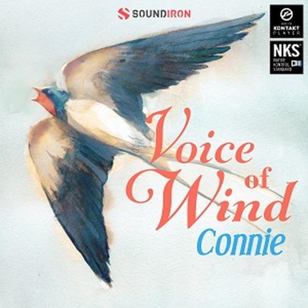 CONNIE DOOLANによる陽気で洗練されたソロボーカル音源『VOICE OF WIND: CONNIE』は、Voices of Windシリーズの第4弾となる女性ソロボーカル音源です。オペラ歌手CONNIE DOOLANの魅力的なメゾ...