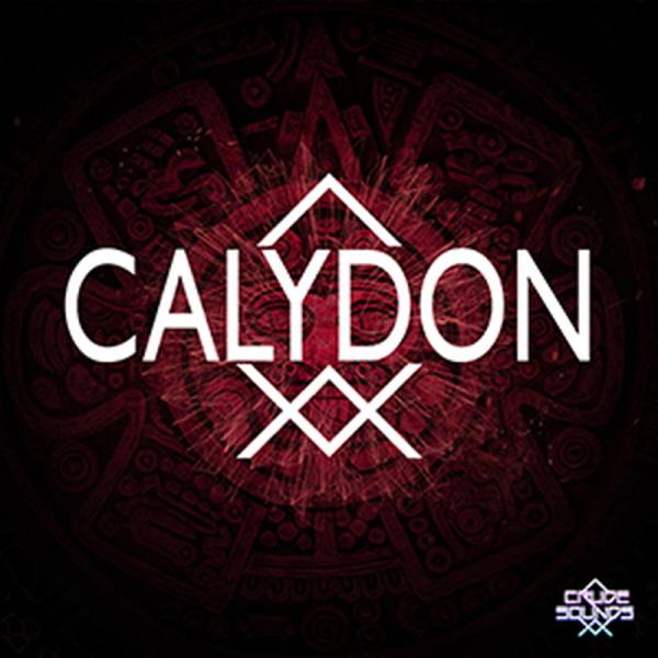 硬派なヒップホップのコンストラクションキット集『CALYDON』は、ハードでダークなトラップミュージックのコンストラクションキット集です。ワイルドでディープなサウンドが満載です。収録内容- 6 Construction Kits- 6 MI...
