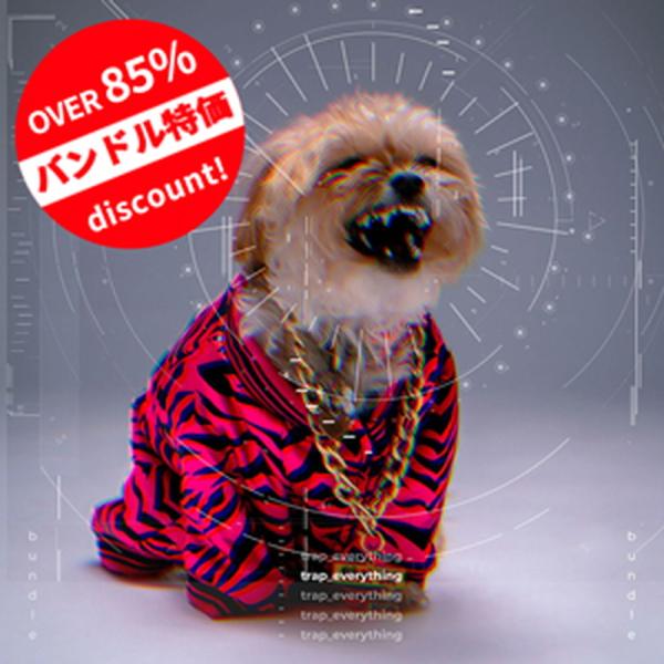 大容量マストバイアイテム！人気プリセット含む13セットバンドル版『Trap Everything Bundle』は、トラップビートを極める為の13製品をパックしたバンドルです！各楽器ループ、ドラム・パーカッションループ、ワンショットはもちろ...