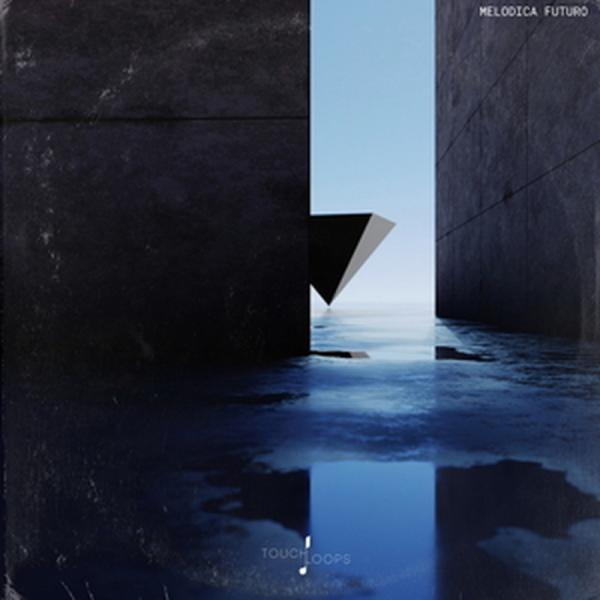 Nicolas Jaarのサウンドにインスパイアされたテクノやエレクトロニカ向けのサウンドを収録『MELODICA FUTURO』はNicolas Jaarのサウンドにインスパイアされたテクノやエレクトロニカ向けのサウンドを含んだサンプルパ...