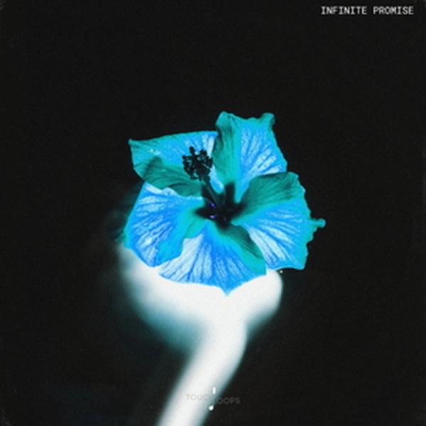 プログレッシブハウス、メロディックハウス、UKガレージに適したエモーショナルなサウンドを収録『INFINITE PROMISE』はプログレッシブハウス、メロディックハウス、UKガレージに適したエモーショナルなサウンドを含んだサンプルパックで...