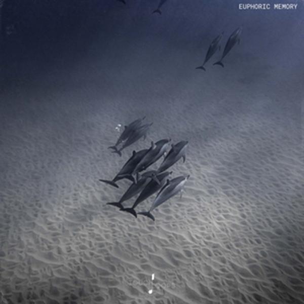 メロディックハウスに適したエモーショナルなサウンドを収録『EUPHORIC MEMORY』はメロディックハウスに適したエモーショナルなサウンドを含んだサンプルパックです。本作はテープドライブシンセ、チョップされたボーカル、プラックベースライ...