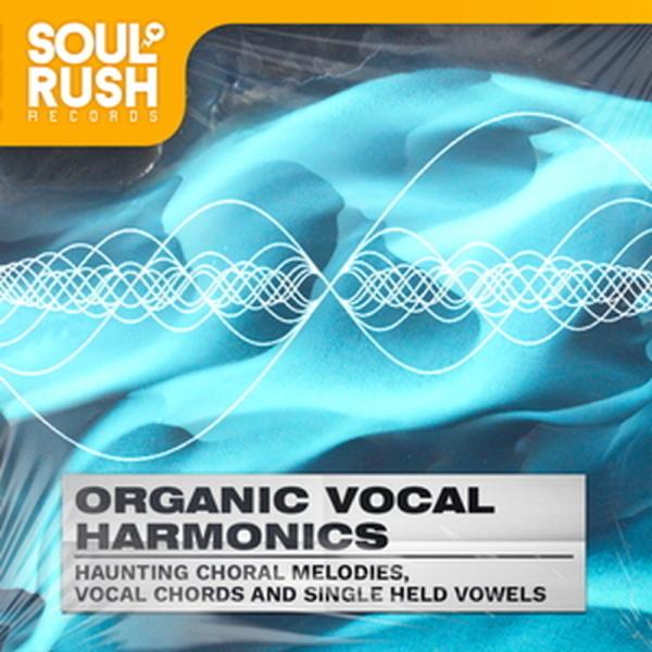 ハウスやダウンテンポに適した心を揺さぶるボーカルを収録『ORGANIC VOCAL HARMONICS』はハウスやダウンテンポに適した心を揺さぶるボーカルを含んだサンプルパックです。本作はボーカルテクスチャ、ボーカルコード、シングルボーカル...