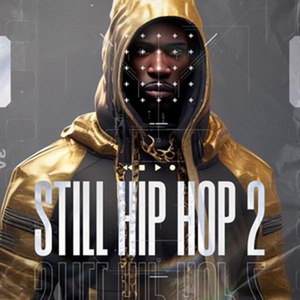 ニューヨークスタイルのモダンなヒップホップサウンドを収録『STILL HIP HOP 2』はJadakiss、Fabolous、Sean Combs、A$AP Rocky、Jay-Zなどから影響を受けたヒップホップ向けのモダンなサウンドを含...