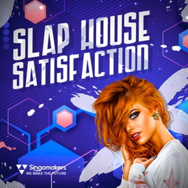 スラップハウスの制作に適したキャッチーなボーカルフックや刺激的なメロディ等を収録『SLAP HOUSE SATISFACTION』はスラップハウスの制作に適したサウンドを含んだサンプルパックです。本作は刺激的なメロディ、キャッチーなボーカル...