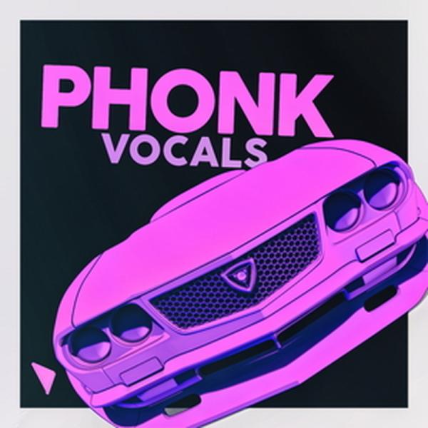 ドリフトフォンク、ハウスフォンク、アトモスフェリックフォンク等から厳選したサウンドを収録『PHONK VOCALS』はドリフトフォンク、ハウスフォンク、アトモスフェリックフォンク等から厳選したサウンドを含んだサンプルパックです。本作はボーカ...
