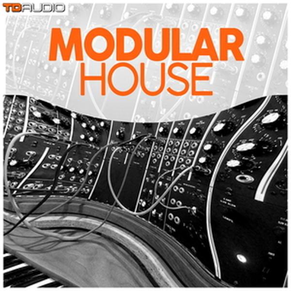 ハウス、テクノ、テックハウスに適した先進的なサウンドを収録『TD AUDIO - MODULAR HOUSE』はハウス、テクノ、テックハウスに適した先進的なサウンドを含んだサンプルパックです。本作はミュージックループ、ミュージックヒット、ド...