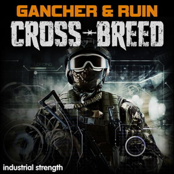 ハードコアやドラムンベースに適したヘビーでダークなサウンドを収録『GANCHER &amp; RUIN CROSSBREED』はハードコアやドラムンベースに適したヘビーでダークなサウンドを含んだサンプルパックです。本作はキック、バスドラム、...