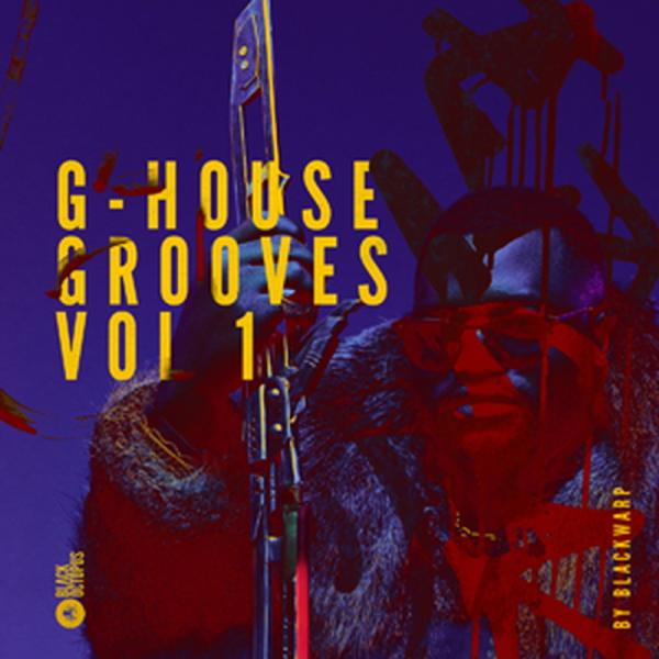 ダークな重低音が魅力のG-House/Bass House向けサンプルパック『G-House Grooves Vol 1』は、G-HouseやBass Houseのダークでメロディックなサウンドが収録されたサンプルパックです。ベース、FX、...