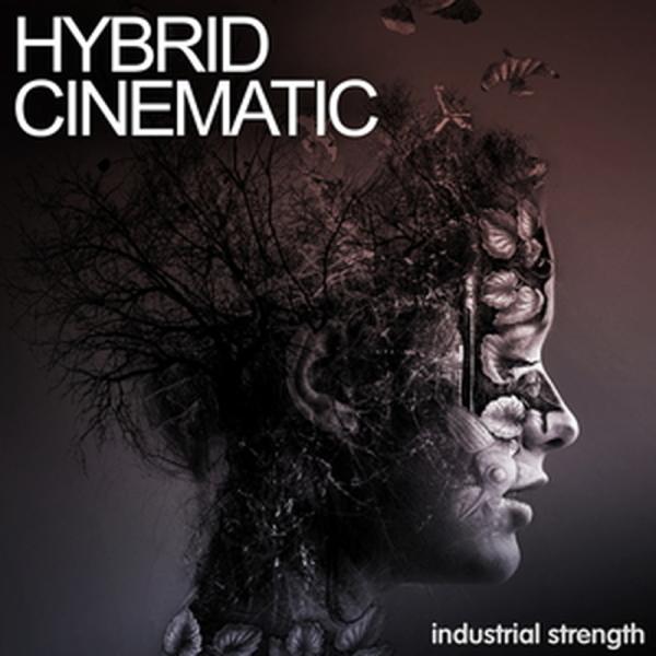 シネマティックやサウンドトラックに適したダークでモダンなサウンドを収録『HYBRID CINEMATIC』はシネマティックやサウンドトラックに適したダークでモダンなサウンドを含んだサンプルパックです。本作は重厚なストリングス、トーンのあるテ...