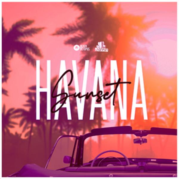 夕暮れ時のムーディーなトロピカルサウンドが多数収録『BASEMENT FREAKS PRESENTS HAVANA SUNSET』は、夕暮れのムーディーなトロピカルサウンドが収録されたサンプルパックです。シェイカー、メタルギロ、サンバ・タン...