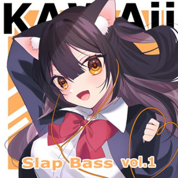 生々しいスラップ・ベースの演奏を実現するKONTAKT音源！『KAWAII SLAP BASS VOL.1』 は、Slapサウンドに特化したBass音源です。国産5弦ベースと最高級の機材を使用し、「本当に使いやすい音色」にこだわった本製品は...