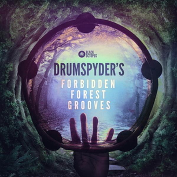 様々なジャンルに適した汎用性の高いパーカッションサウンドを収録『DRUMSPYDER'S FORBIDDEN FOREST GROOVES』は様々なジャンルに適した汎用性の高いパーカッションサウンドを含んだサンプルパックです。本作は60、6...