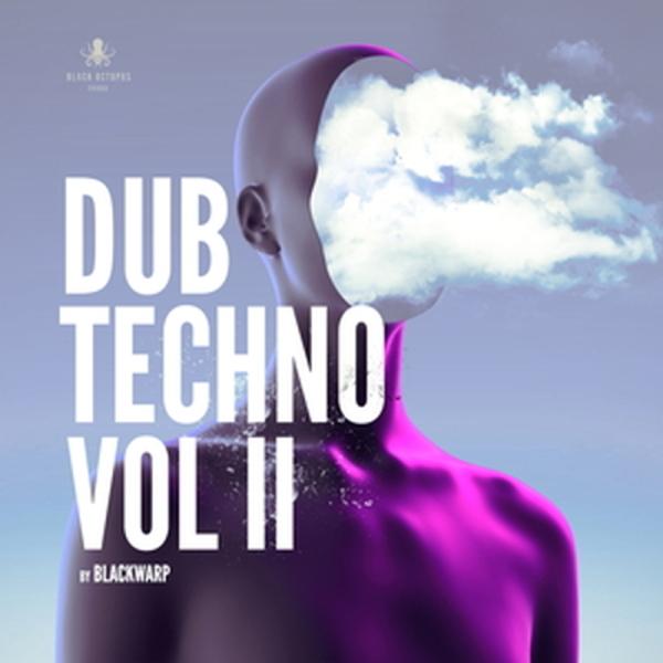 テクノの制作に適したダイナミックなドラムやSerumプリセットを収録『DUB TECHNO VOL 2』はテクノの制作に適したダイナミックなドラムやSerumプリセットを含んだサンプルパックです。本作はドラム、シンセ、ベース、FXを含んだル...