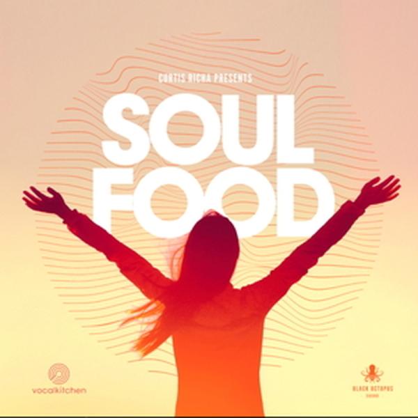 ソングライターのCURTIS RICHAによるソウルフルでエモーショナルなボーカルサウンドパック『VOCALKITCHEN - SOULFOOD BY CURTIS RICHA』はソングライターのCURTIS RICHAによるソウルフルでエ...