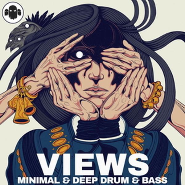 ドラムンベースに適した重厚なベースやハードなドラム等を収録『VIEWS - DRUM &amp; BASS』はドラムンベースに適したディープでミニマルなサウンドを含んだサンプルパックです。本作は重厚なベース、ハードなドラム、雰囲気のあるFX...
