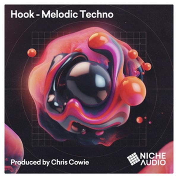 Hook Recordingsのエッセンスを凝縮したメロディックテクノ向けのサウンドを収録『HOOK - MELODIC TECHNO』はレコードレーベルであるHook Recordingsのエッセンスを凝縮したメロディックテクノ向けのルー...