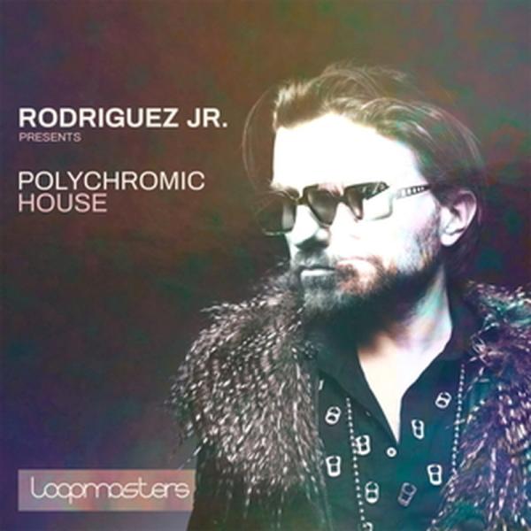 実績のあるプロデューサーRodriguez Jr.のカラフルなサウンドを収録『RODRIGUEZ JR. - POLYCHROMIC HOUSE』はハウス、テクノ、メロディックテクノ、オーガニックハウスに適したRodriguez Jr.のカ...