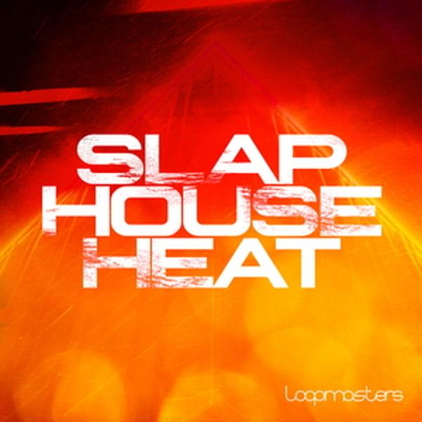 スラップハウスやハウスの制作に適したディープなシンセベースやドラムビート等を収録『SLAP HOUSE HEAT』はスラップハウスやハウスの制作に適したエネルギッシュなサウンドを含んだサンプルパックです。本作はディープなシンセベースライン、...