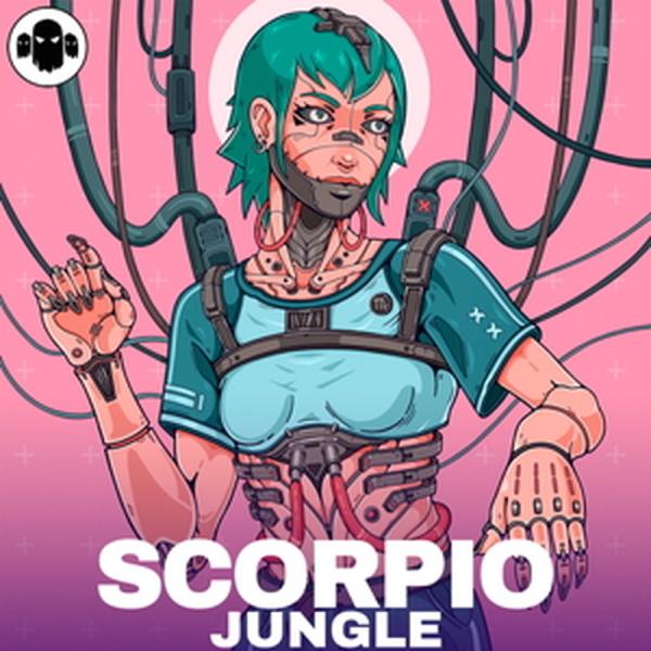 ジャングルやドラムンベースに適したモダンなビート等を収録『SCORPIO - JUNGLE』はジャングルやドラムンベースに適したモダンなビート等を含んだサンプルパックです。エネルギッシュなドラムループ、轟くベースライン、アトモスフィア、ダー...