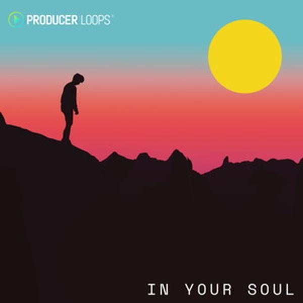 ソウル、RnB、ヒップホップ、トリップホップに適したとエモーショナルなサウンドを収録『IN YOUR SOUL』はソウル、RnB、ヒップホップ、トリップホップに適したとエモーショナルなサウンドを含んだサンプルパックです。豊かなメロディー、ベ...