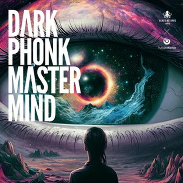 フォンクに適したミステリアスなボーカルやFX等を収録『DARK PHONK MASTERMIND BY FUTURETONE』はフォンクに適したミステリアスなボーカルやFX等を含んだサンプルパックです。ハンマーで叩きつけるようなハードなキッ...
