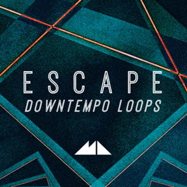 ダウンテンポに適した様々な表情を見せるループを収録『ESCAPE』は、ダウンテンポに適した様々な表情を見せるループを収録したサンプルパックです。サンゴ礁に照らされた陽光やうねりはじける泡などをイメージさせる、まるで水中にいるようなドリーミー...