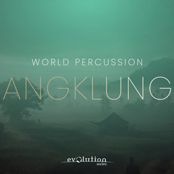 「竹」が持つ果て無き表現力を追求したアンクルン音源 『WORLD PERCUSSION 3.0 ANGKLUNG』は、EVOLUTION SERIESの創始者であり作曲家でもあるAnthony Ammarが丹念に作り上げた、インドネシアを代...