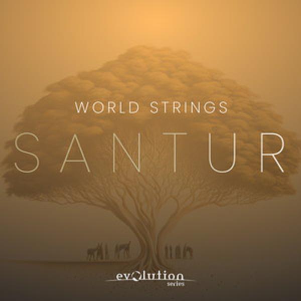 正確さと伝統にこだわったハンマー・ダルシマーのライブラリ 『WORLD STRINGS 3.0 SANTUR』は、伝統的なハンマー・ダルシマーであるペルシャのSantur（サントゥール）の美しい響きに酔いしれるライブラリです。正確さと伝統に...